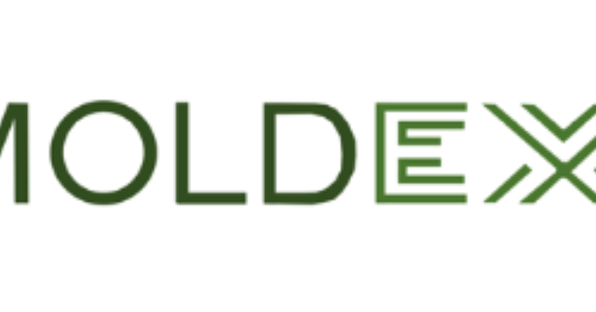 MoldEX | Treated Wood